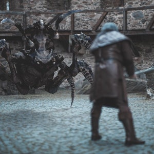 Vesemir From Witcher Netflix Inspired Cosplay | Costume - Etsy