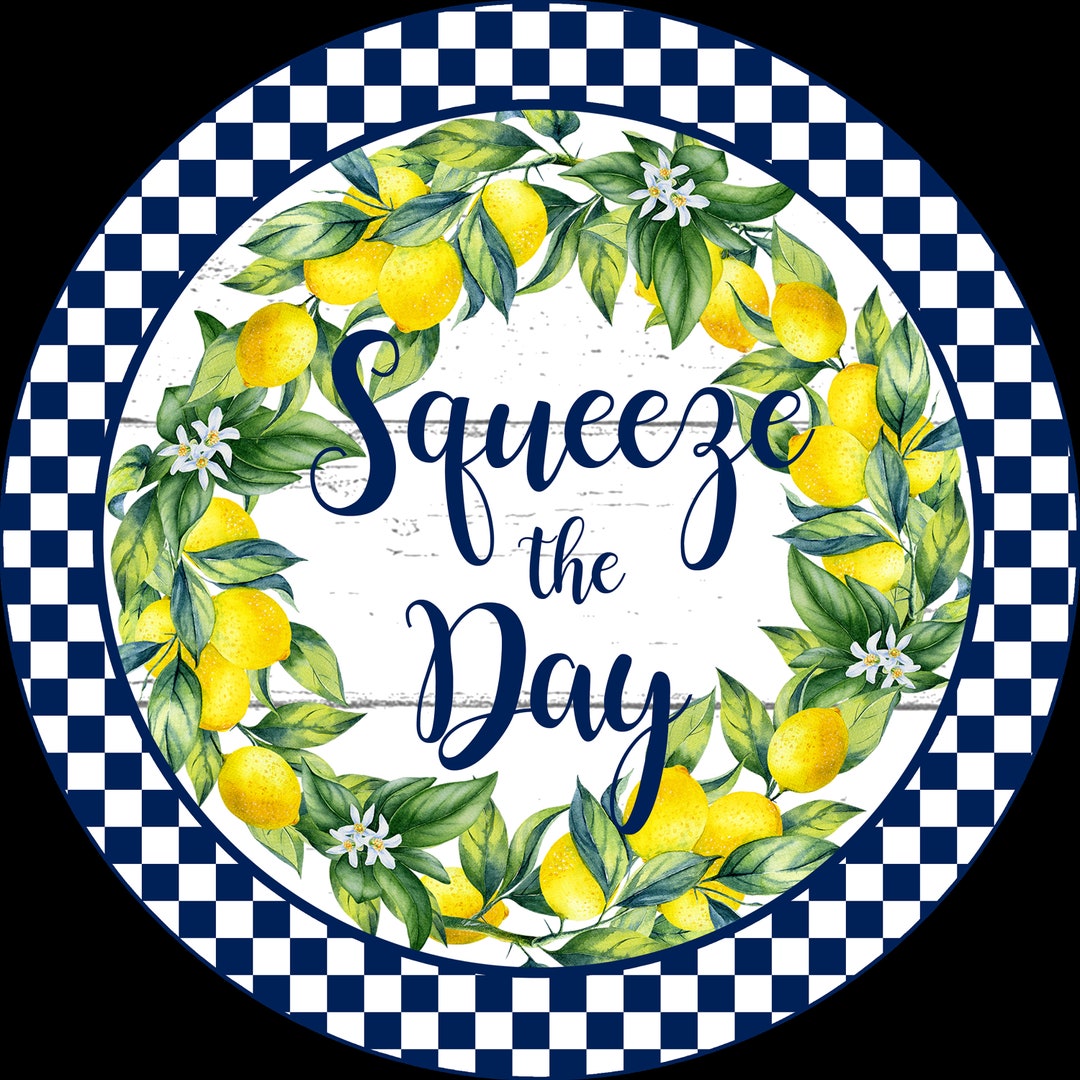 SQUEEZE THE DAY Design Barnwood Style With Plaid Border Metal - Etsy