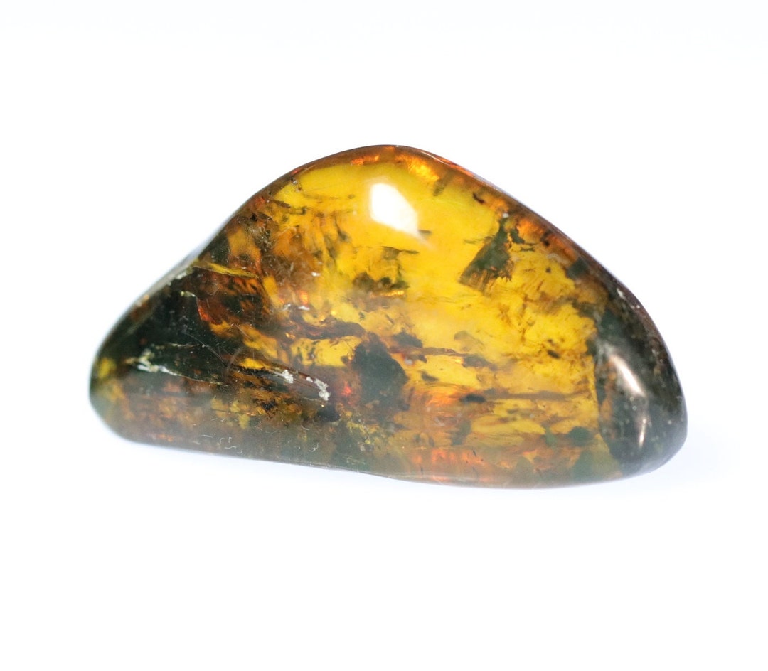 Polished Amber From Chiapas, Mexico #amber08 UV Reactive - Etsy