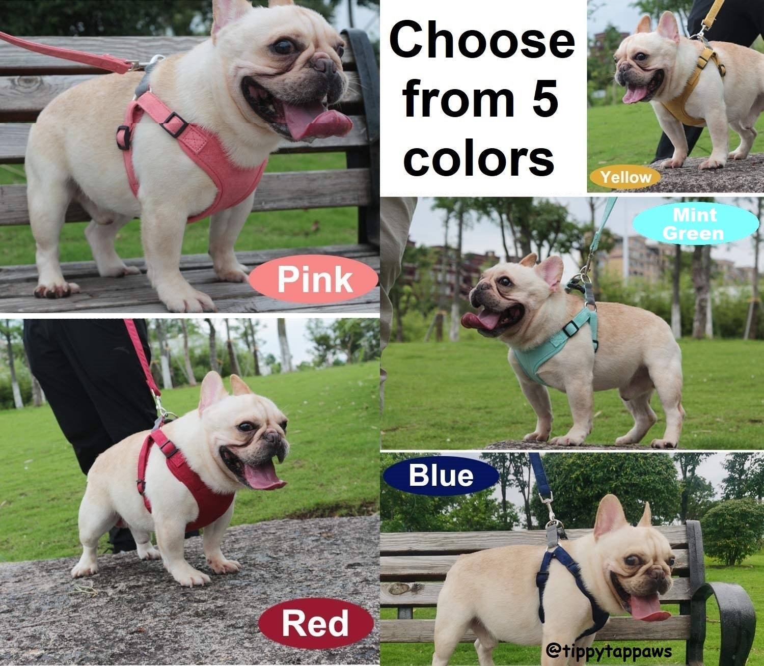 Custom Dog Harness - Dog Harness and Leash Set - Portrait Dog Harness ...