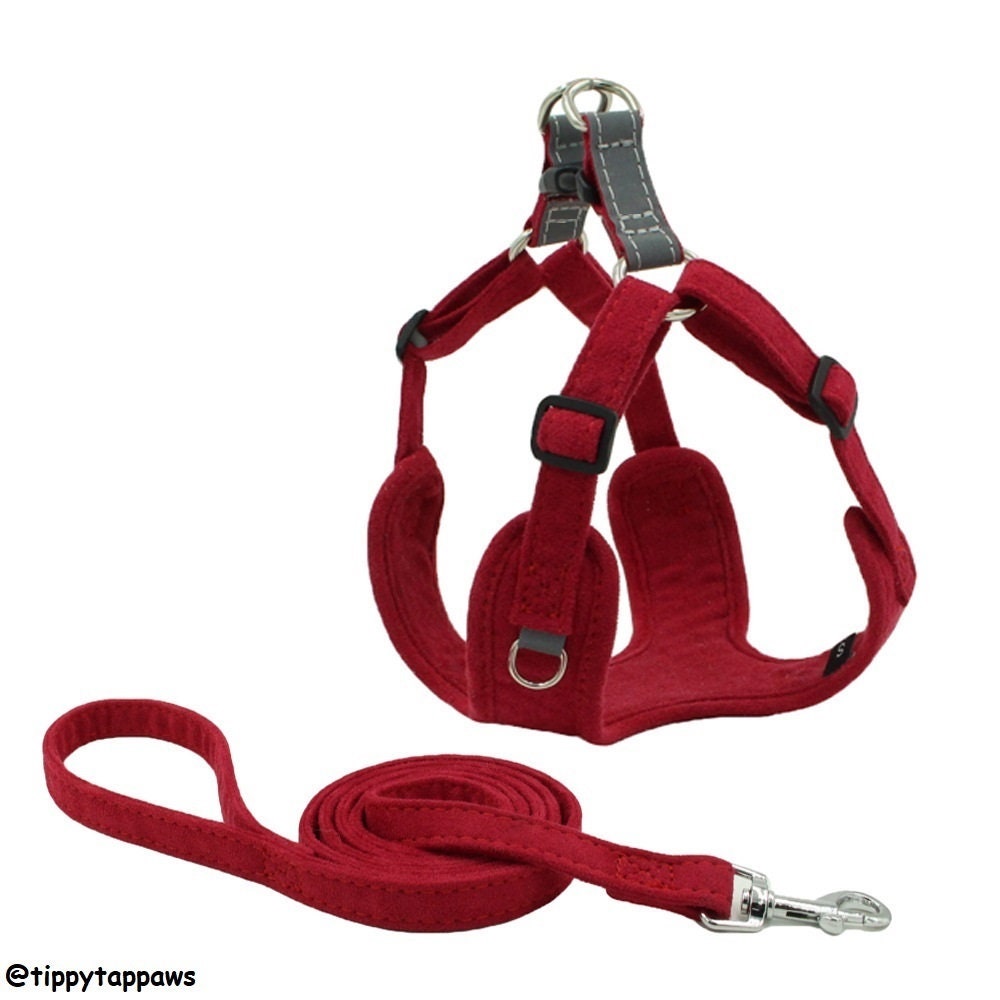 Custom Dog Harness - Dog Harness and Leash Set - Portrait Dog Harness ...