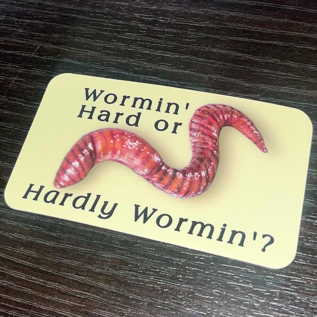 Wormin’ Hard or Hardly Wormin’? Silly Pun Hand Painted Worm Sticker 4 ...