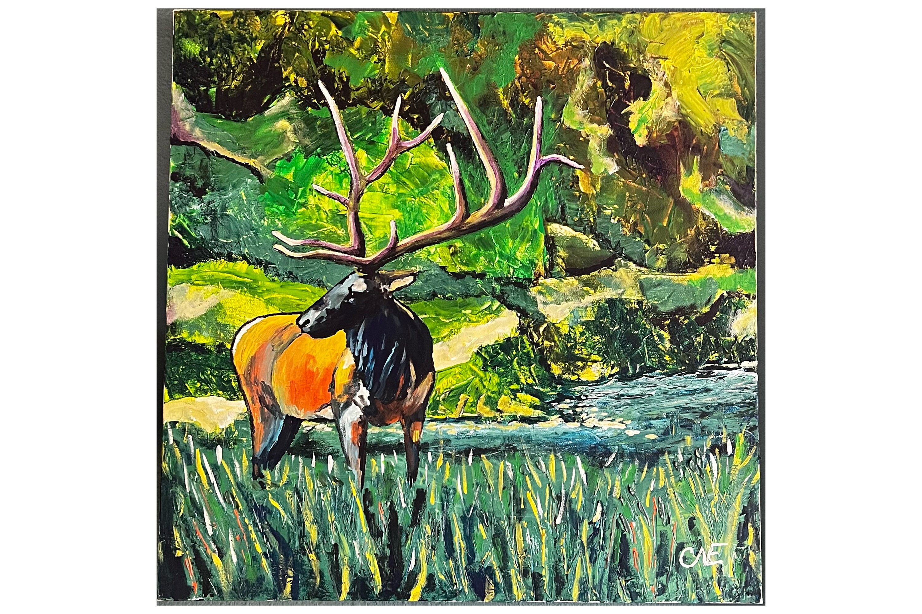 Abstract Elk Paintings