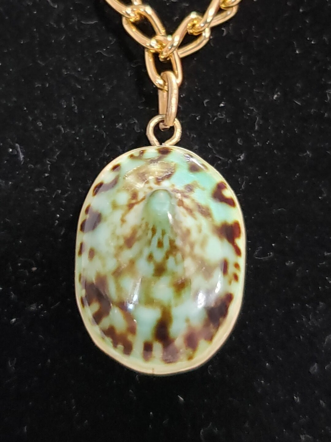 Green Limpet Shell Pendant (wood Center) - Etsy