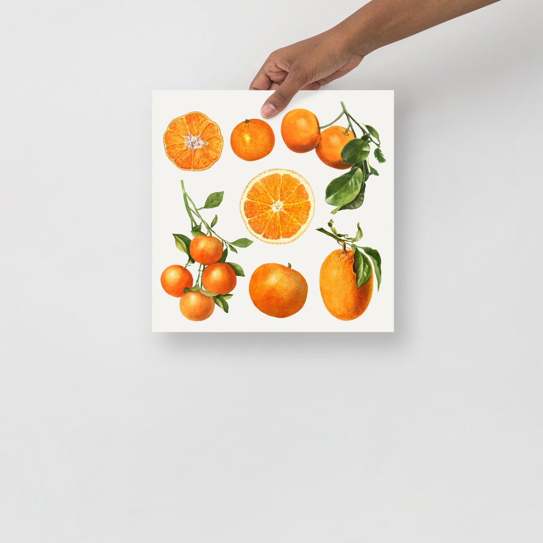 Oranges Poster - Etsy