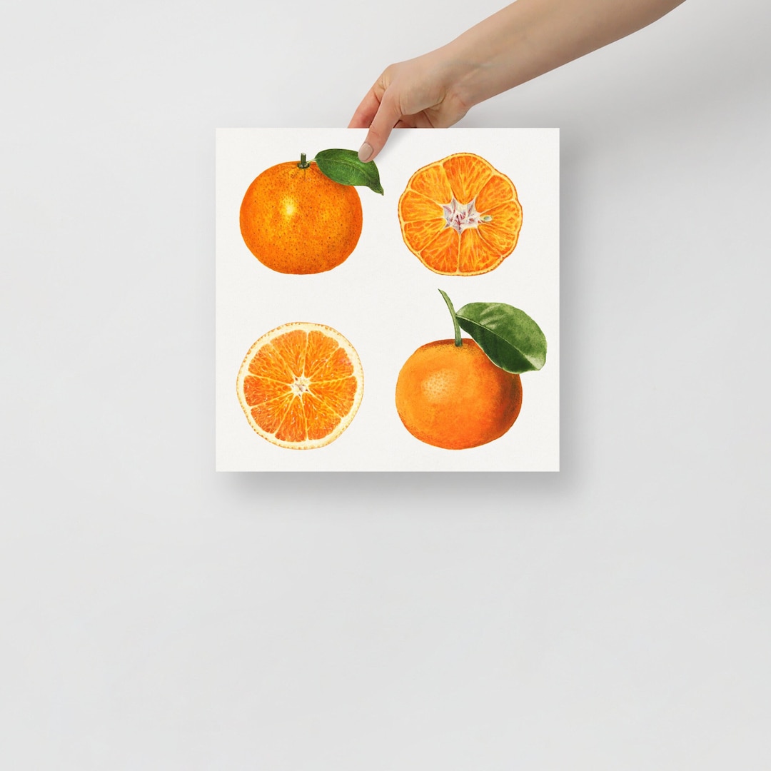 Oranges Poster - Etsy