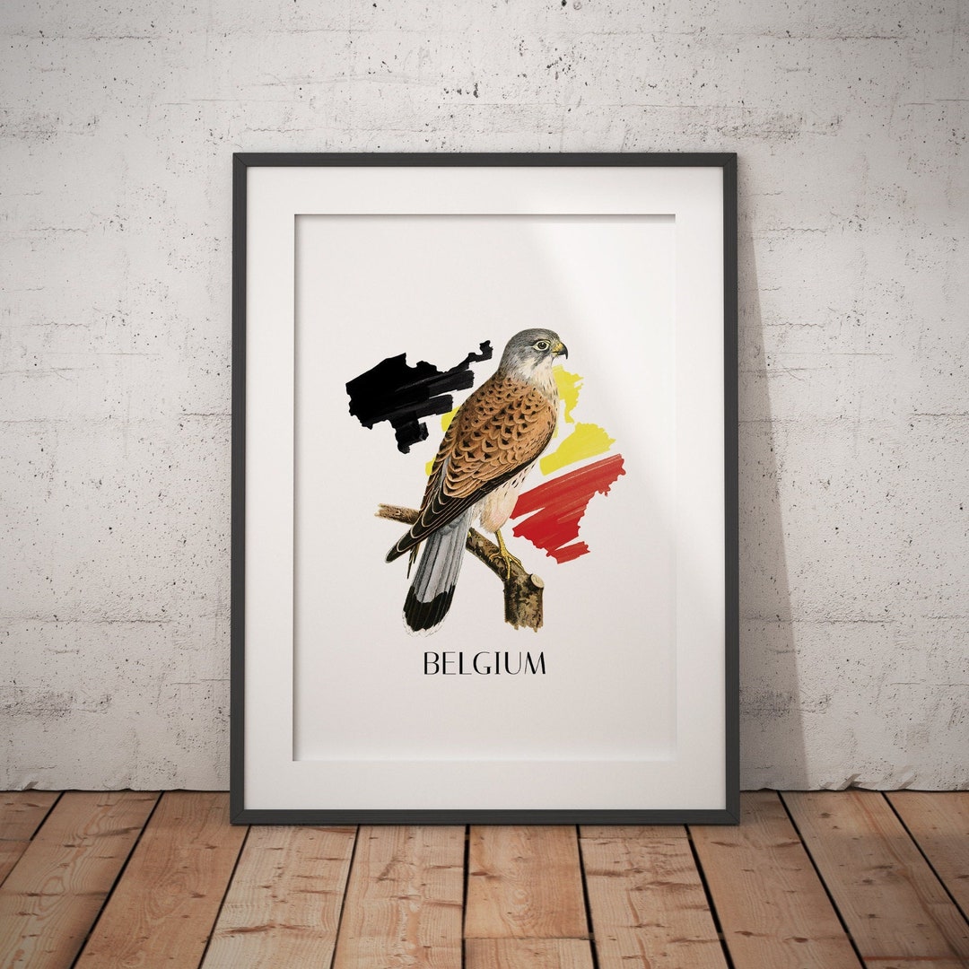 Common Kestrel Belgium Birds of the World Classic Matte Paper Poster - Etsy