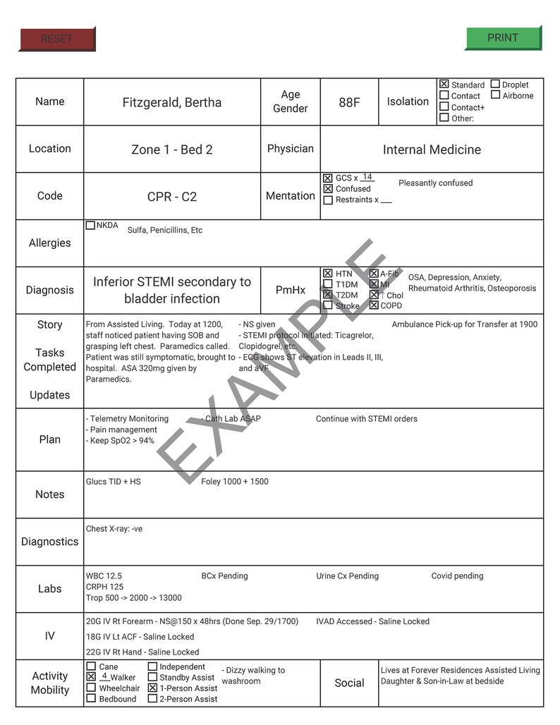 Fillable Nursing Report Sheet, Printable Daily Nursing Sheet, One ...