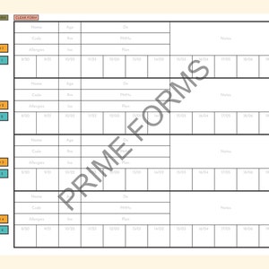 4-patients Fillable Nursing Report Sheet, Brain Sheet, Day/night ...