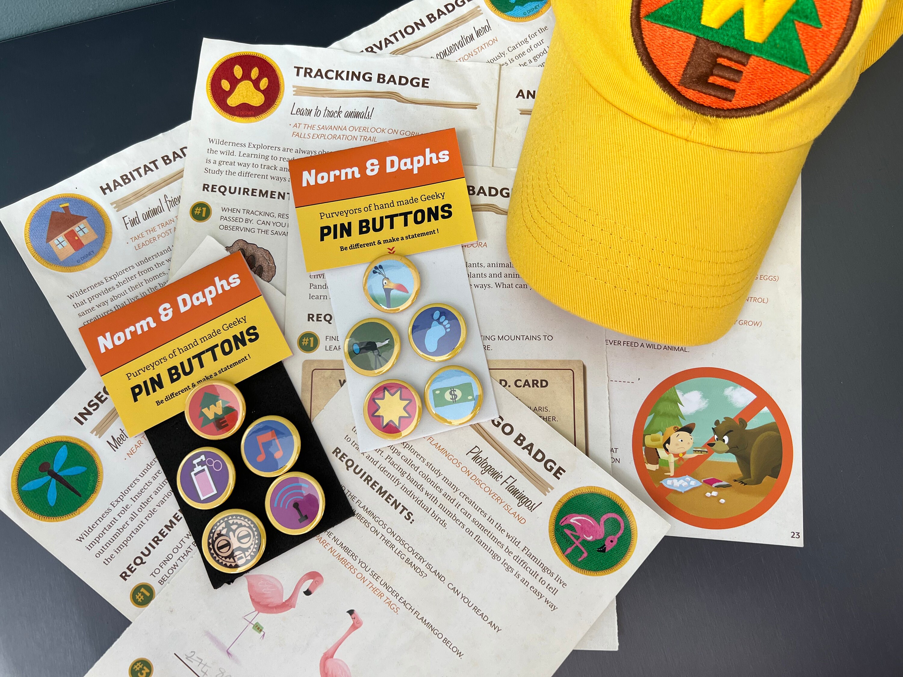 Wilderness Explorer Pin Button Starter Packs! Birthday Gift - Etsy