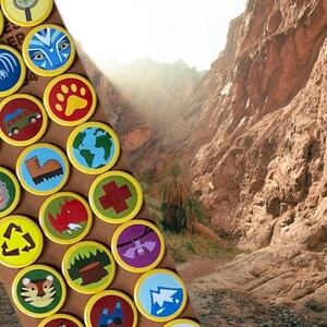 Wilderness Explorer Pin Button Pack! - Etsy
