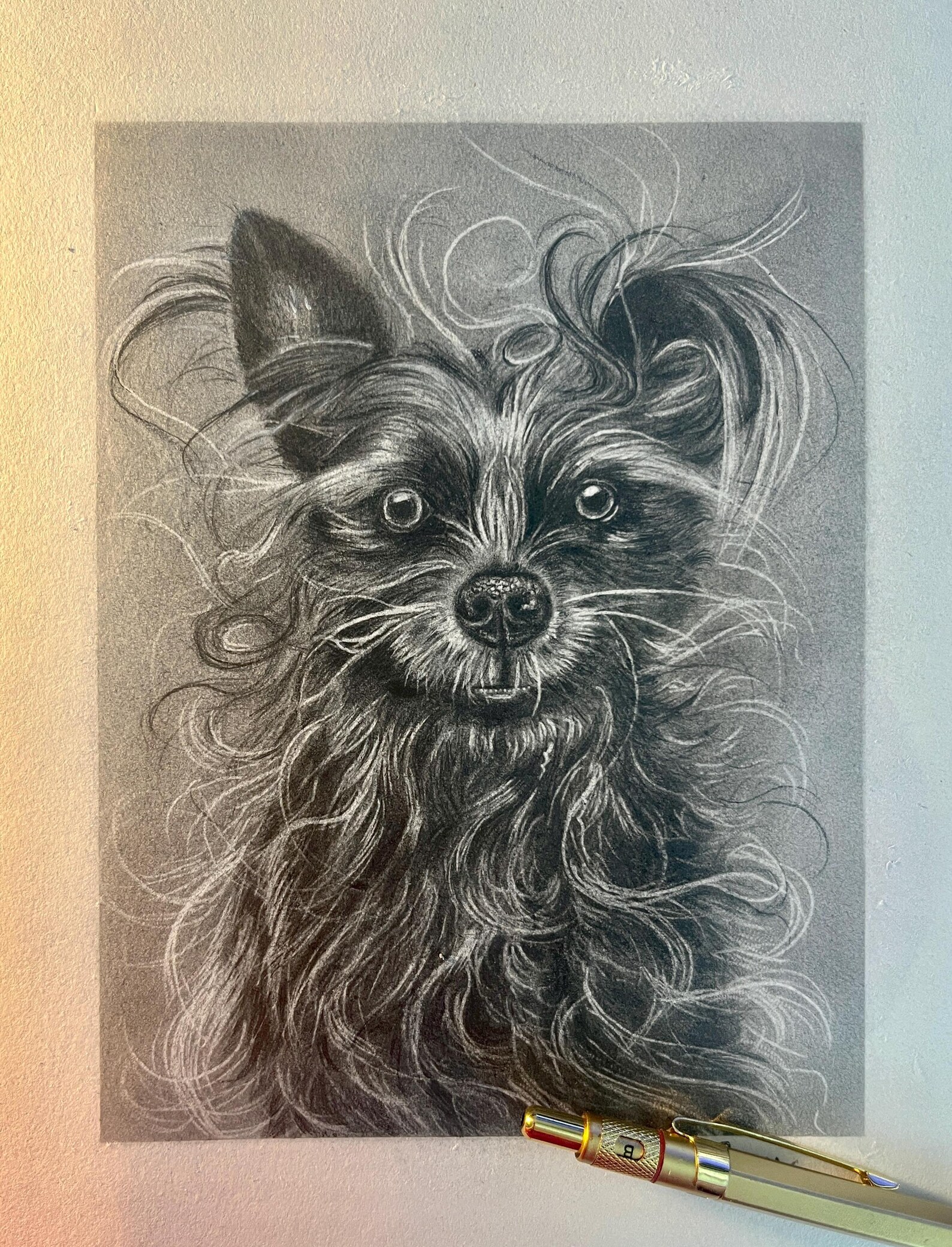 Custom Portrait for Pet, Custom Animal Drawing, Dog Portrait From Photo ...