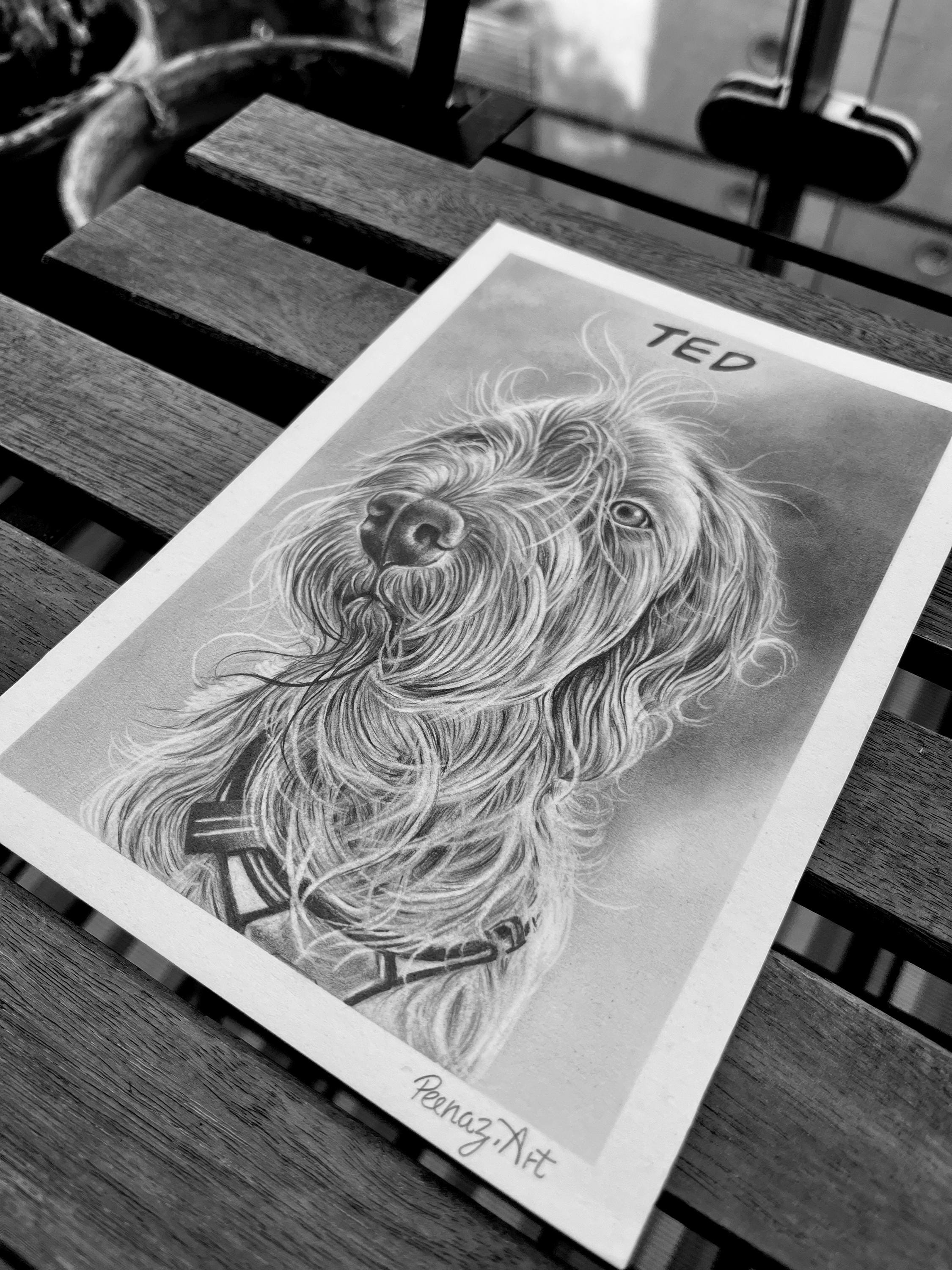 Custom Portrait for Pet, Custom Animal Drawing, Dog Portrait From Photo ...