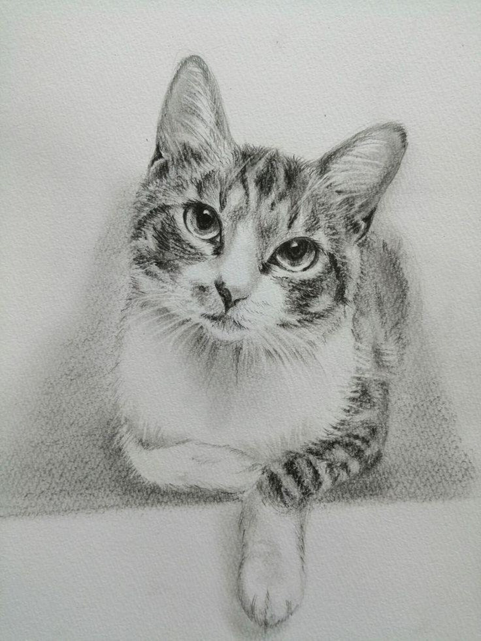 Custom Portrait for Pet, Custom Animal Drawing, Dog Portrait From Photo ...