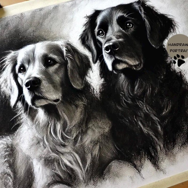 Custom Pet Drawing - Etsy