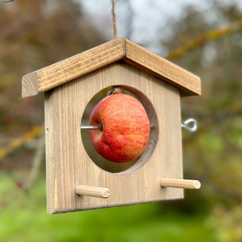 Unique Bird Feeder - Etsy