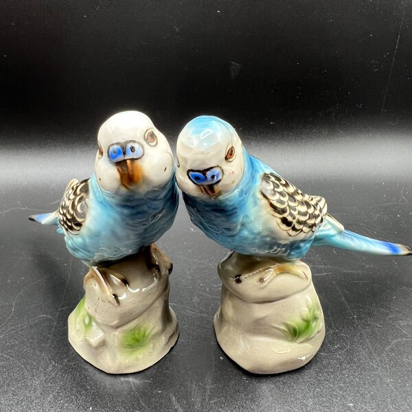 Parakeet Birds - Etsy