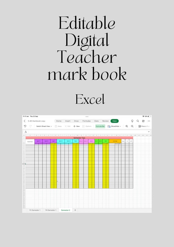 Editable Excel Teacher Mark Book Primary and Secondary - Etsy
