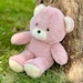 Pink Bear Sewing Pattern, Plush Stuffed Bear Animal Toy PDF Diy - Etsy