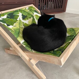 Stylish and Foldable Cat Beach Chair - Etsy