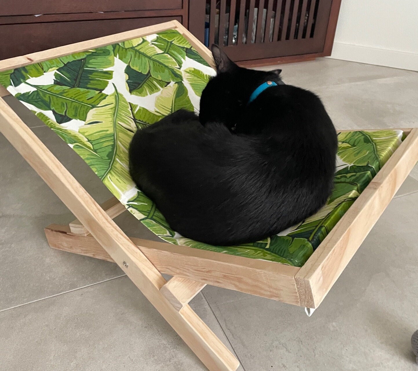 Stylish and Foldable Cat Beach Chair - Etsy