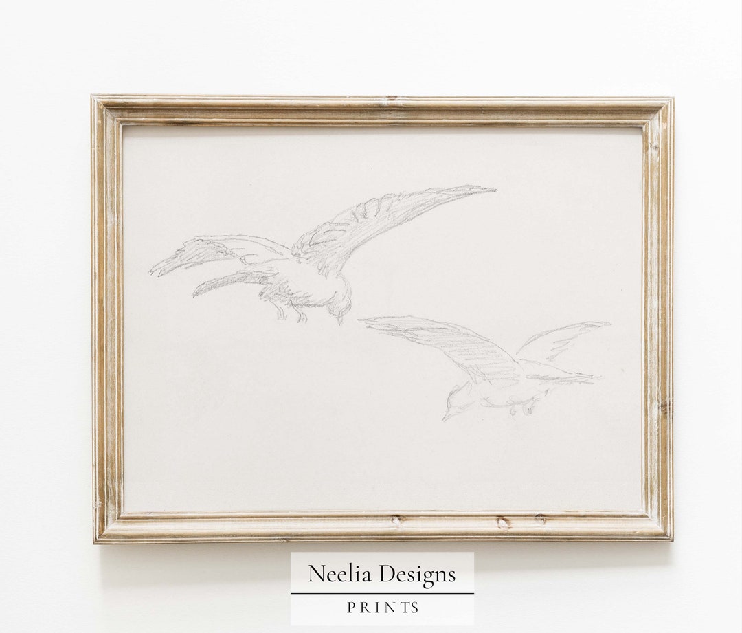 Vintage Gull Birds Drawing | Vintage Sketch | Digital Print Wall Decor ...