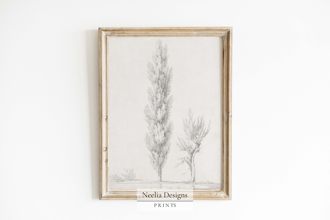 Deciduous Trees Pencil Drawing | Vintage Sketch | Digital Print Wall ...