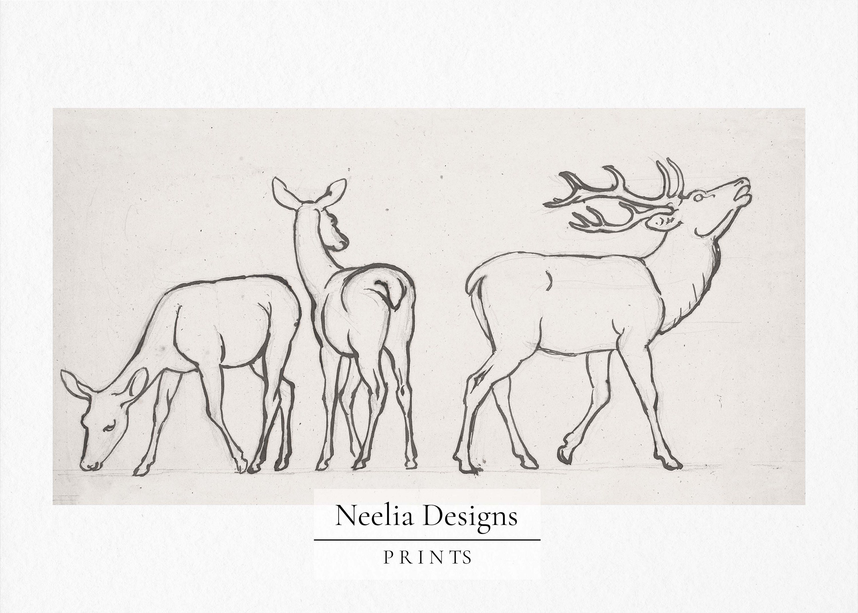 Deer Family Drawing | Vintage Sketch | Digital Print Wall Decor ...