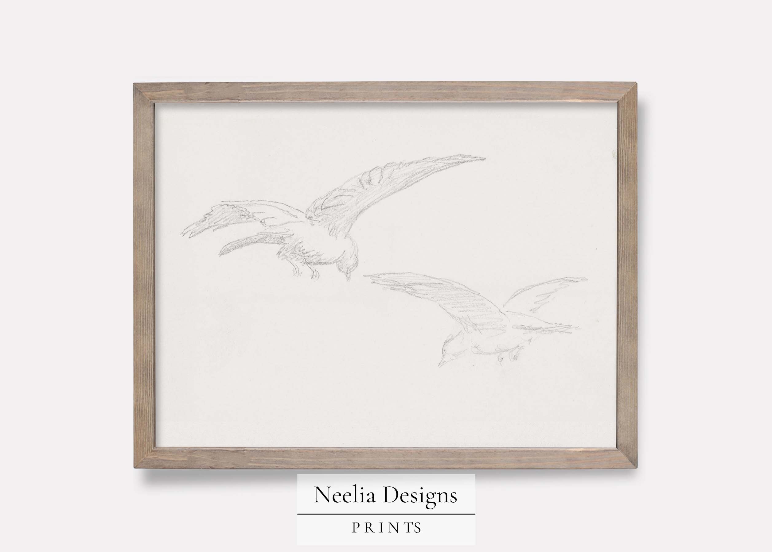 Vintage Gull Birds Drawing | Vintage Sketch | Digital Print Wall Decor ...