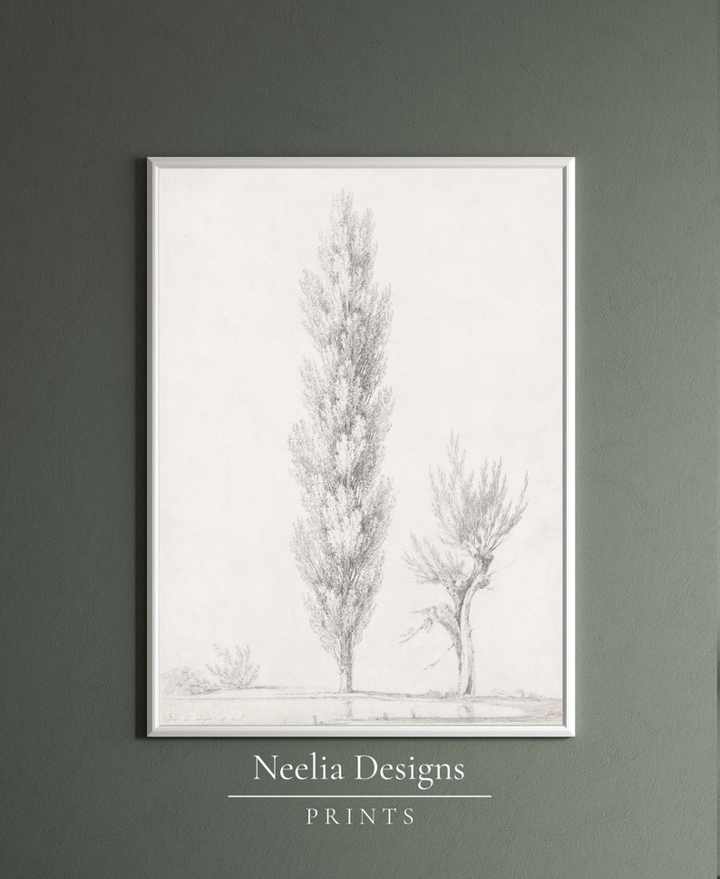 Deciduous Trees Pencil Drawing | Vintage Sketch | Digital Print Wall ...