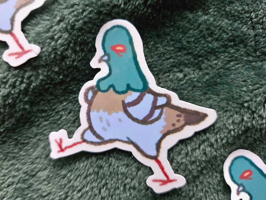 Pigeon Vinyl Sticker - Etsy