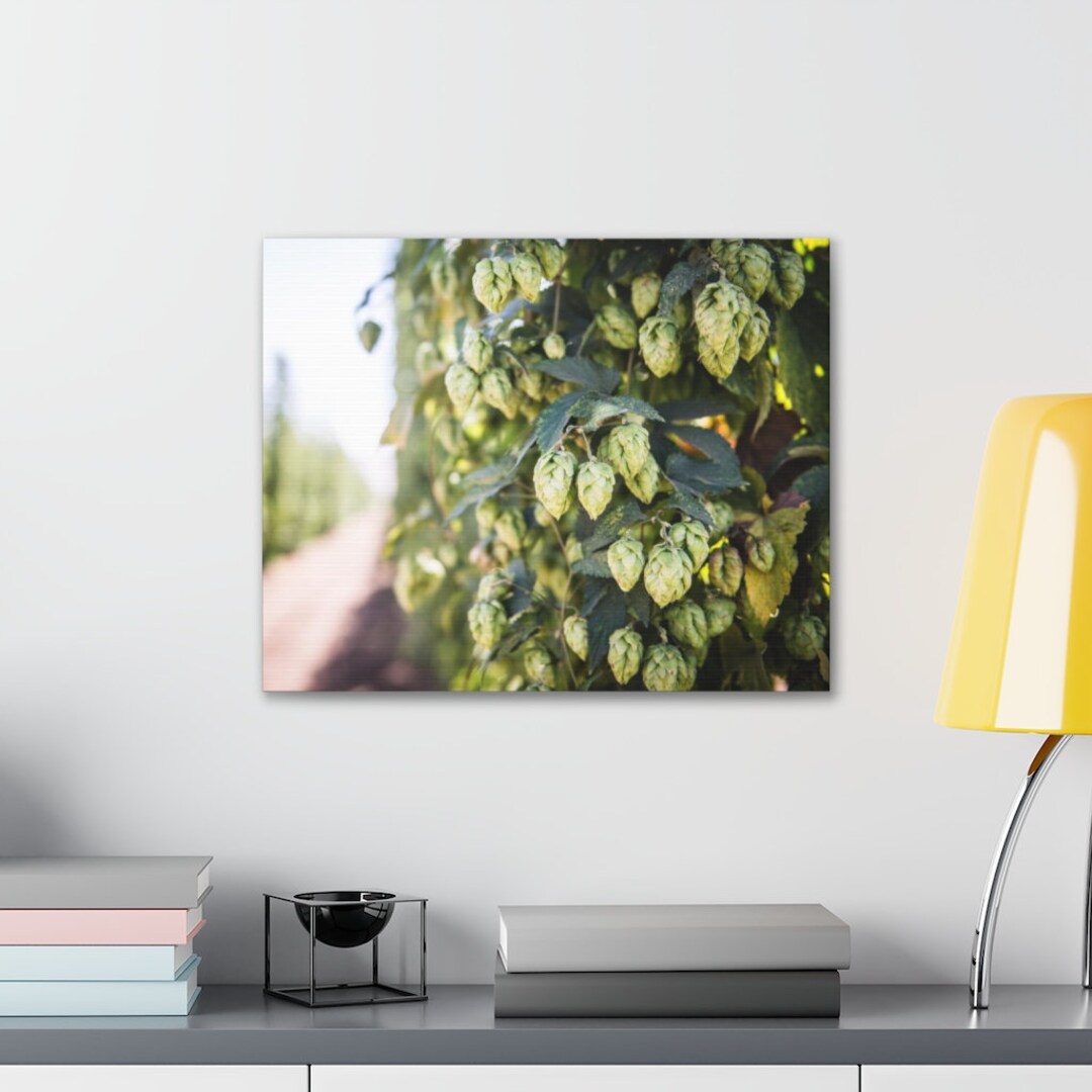 Craft Beer Hops Wall Art - Etsy