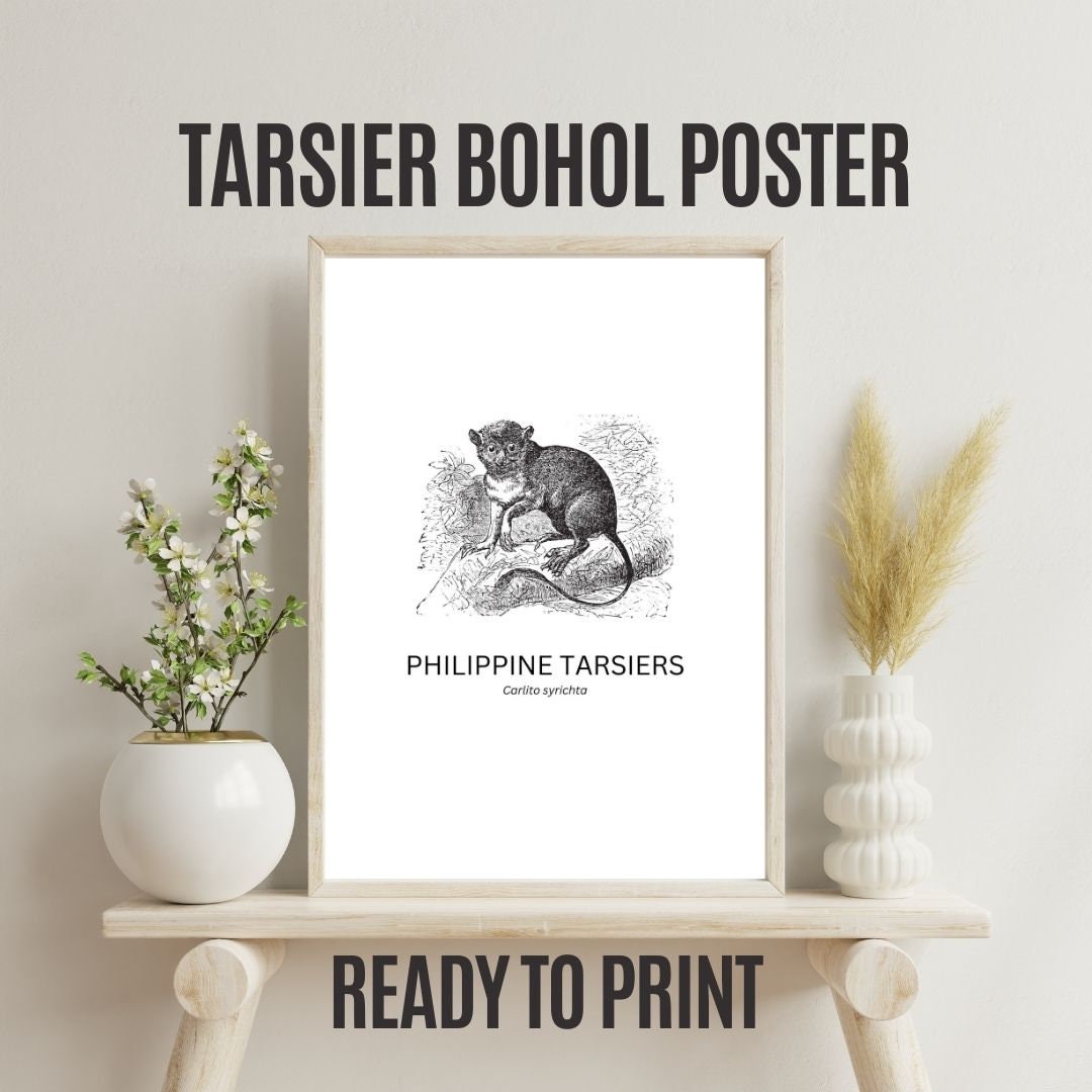 Tarsier Bohol Philippines Poster Printable A3 Elegant Poster Bohol ...