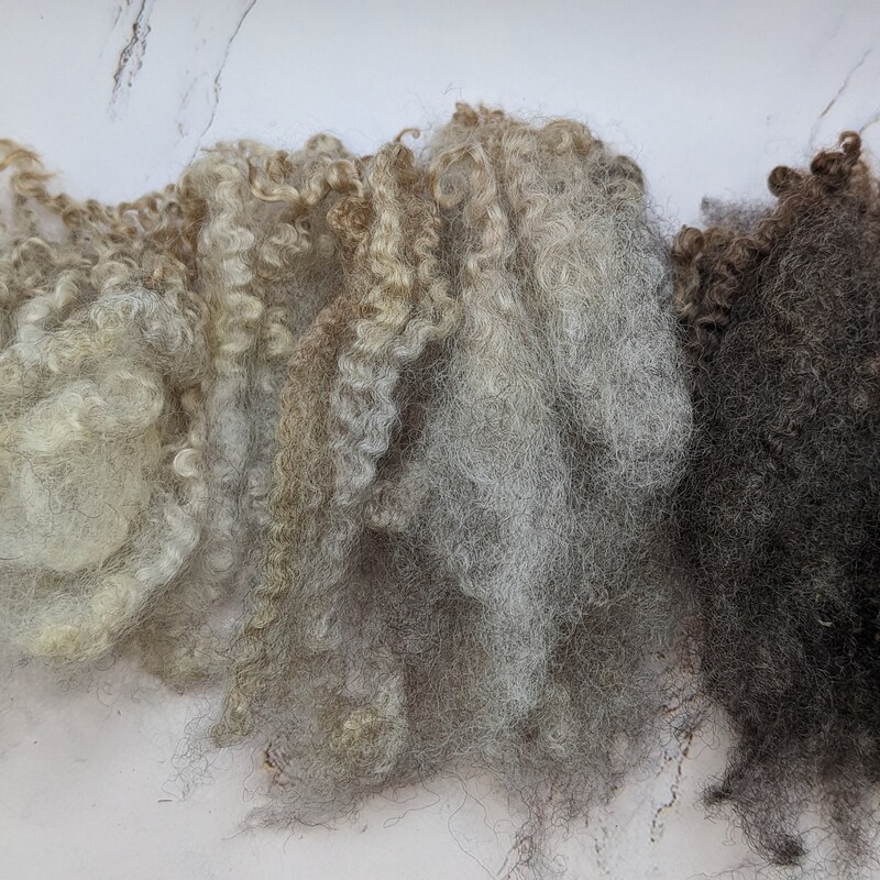 Wool Locks - Etsy