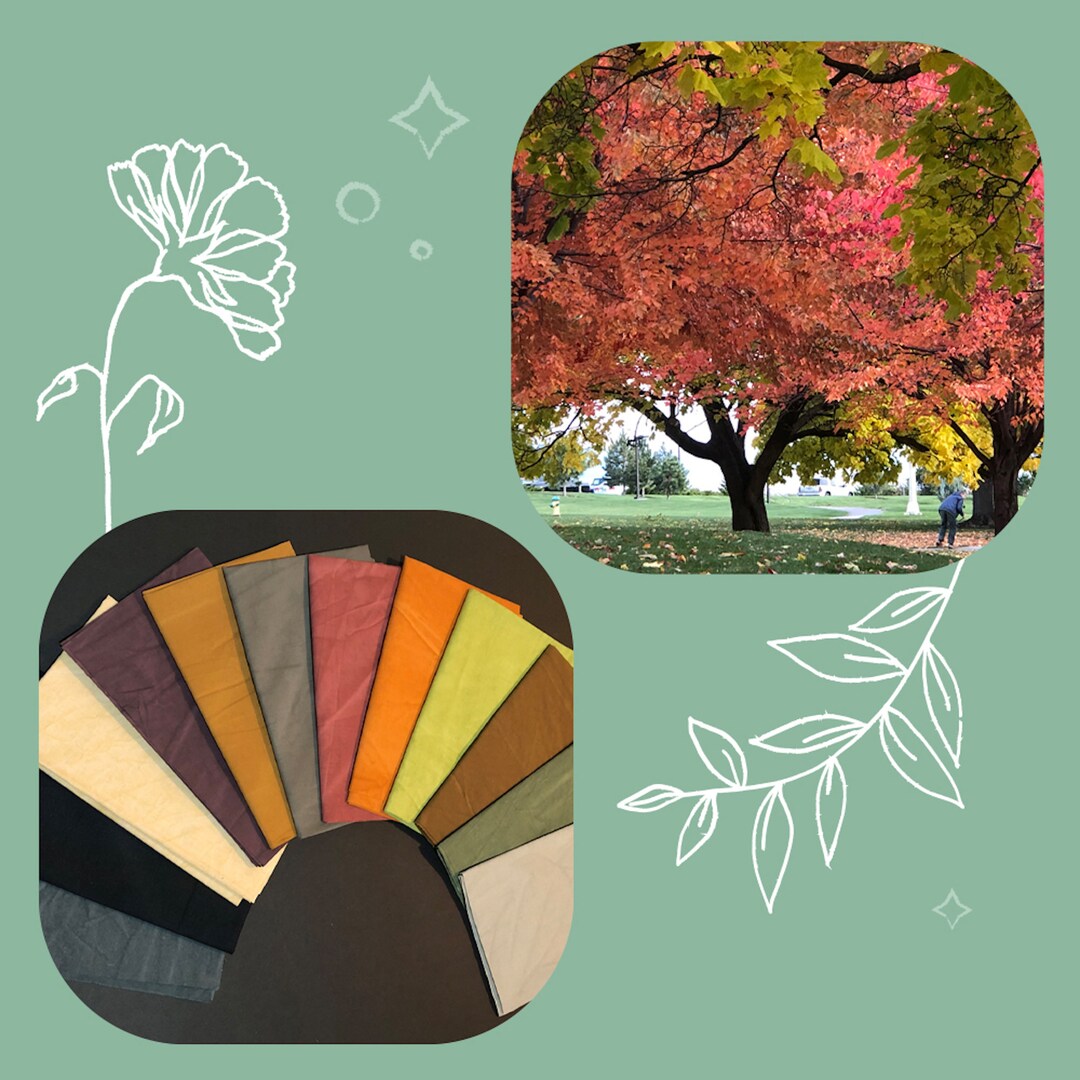 Aged Muslin 12 FQ or 12 Half Yard Curated Bundle - Etsy