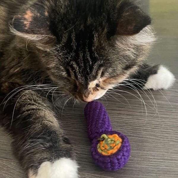 Cat Pipe - Etsy