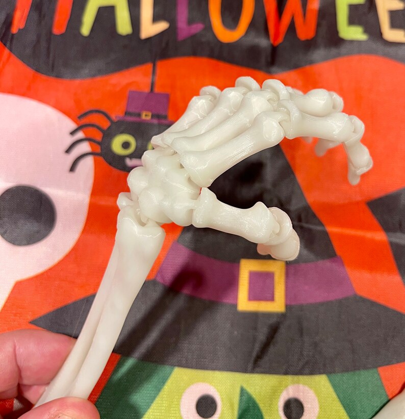 Flexible Flat Skeleton Hands With Forearm A Pair of Left and Right ...