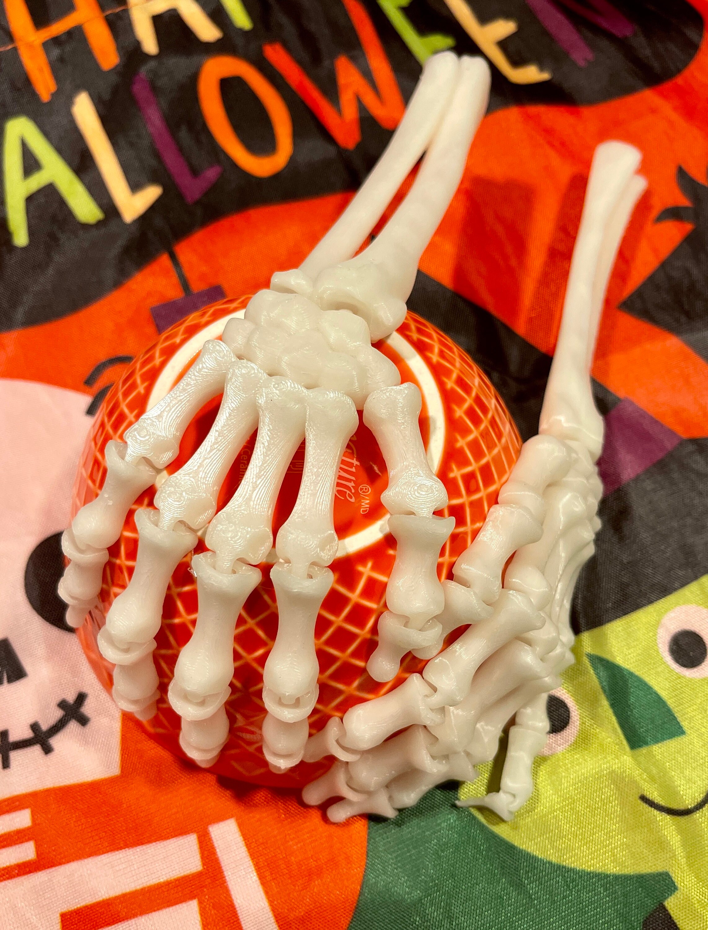 Flexible Flat Skeleton Hands With Forearm A Pair of Left and Right ...