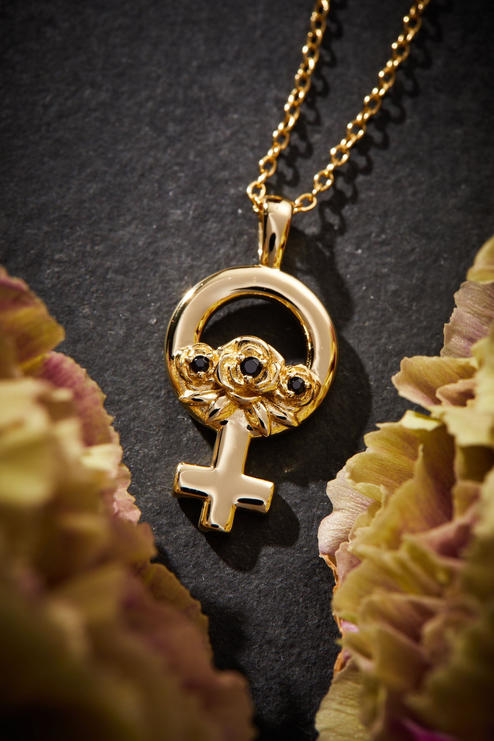 Venus Symbol Necklace, Femininst Necklace, Gender Symbol Necklace ...