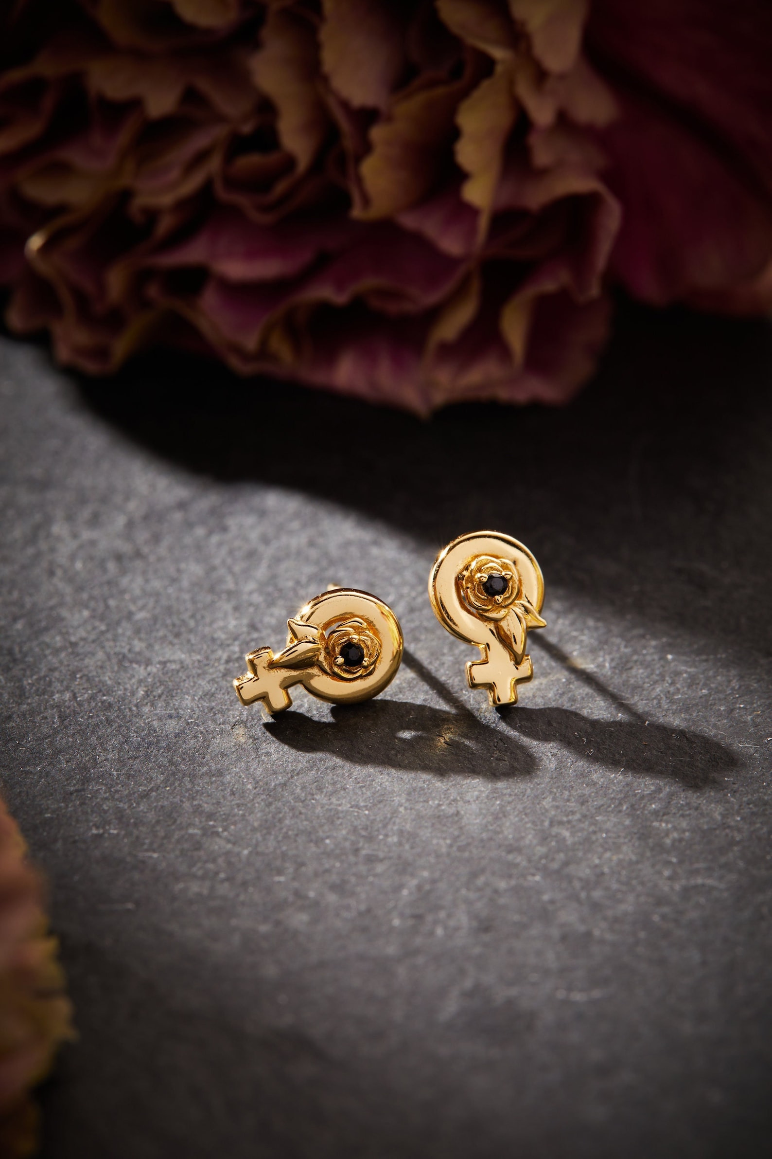 Venus Rose Stud Earrings, Venus Symbol Earrings, Feminist Symbol ...