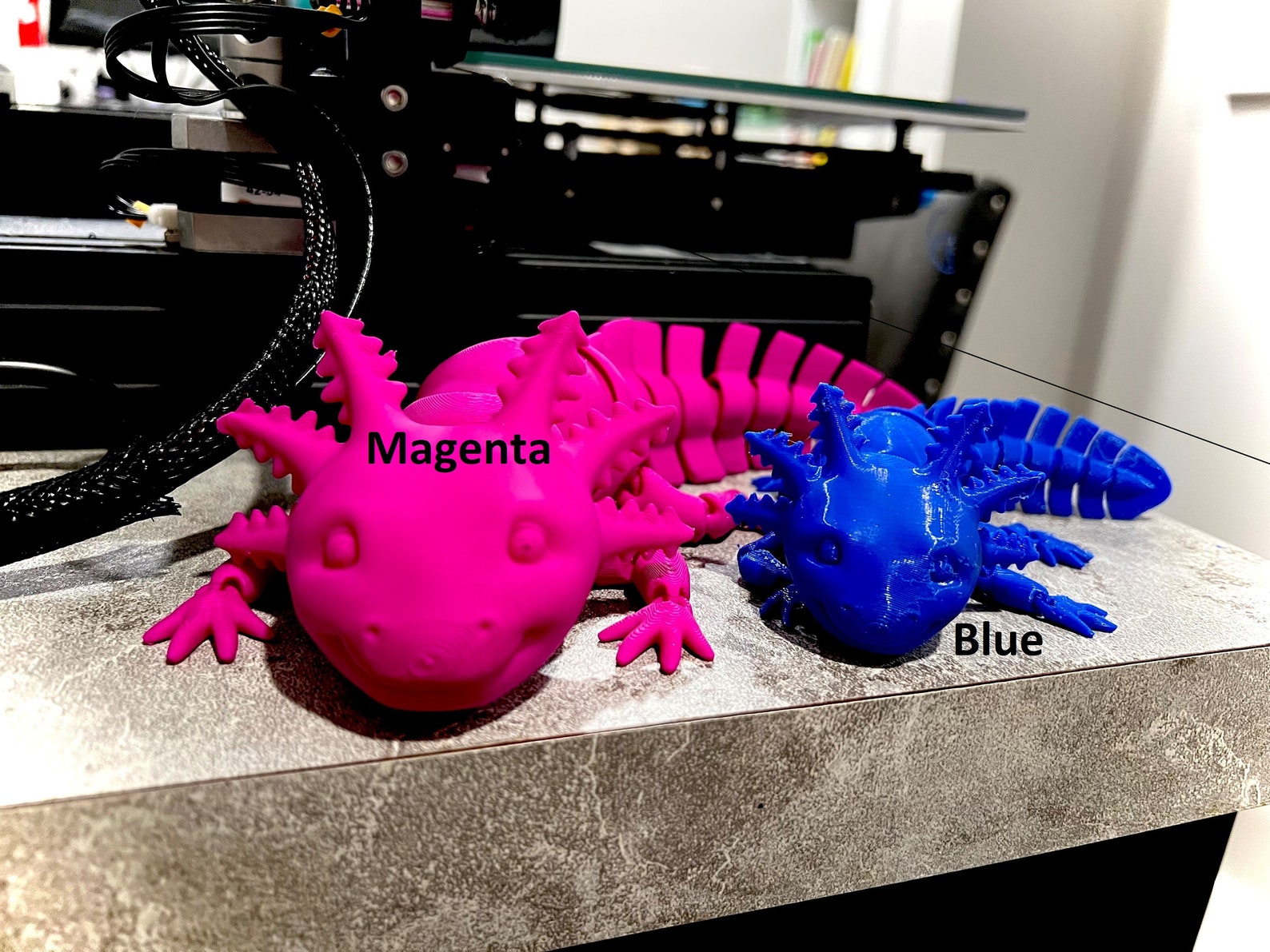 3-D Articulated Axolotl Fidget Toy - Etsy