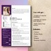 Creative Professional Resume Template 'maria' - Etsy