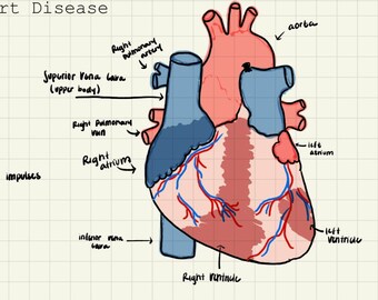 Nursing Lvn Notes - Etsy