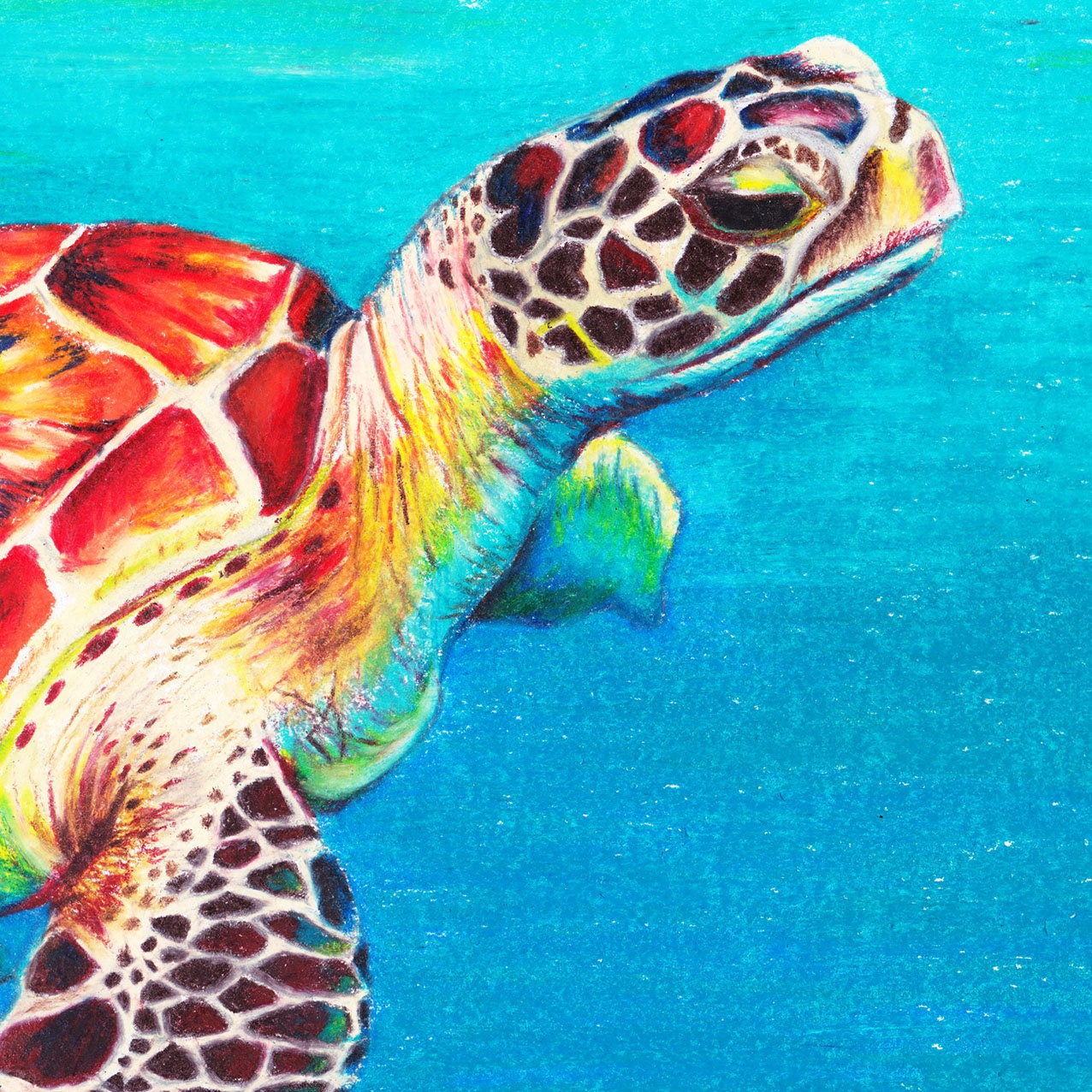 Sea Turtle | Colored Pencil | Red, Orange, Yellow | Drawing | Wall Art ...