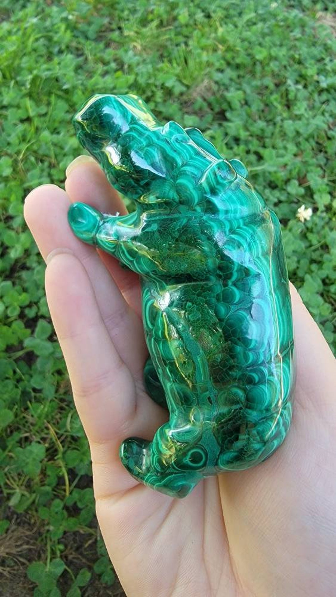 Malachite Hippo, Carved Crystal Animal, Mineral Specimen - Etsy