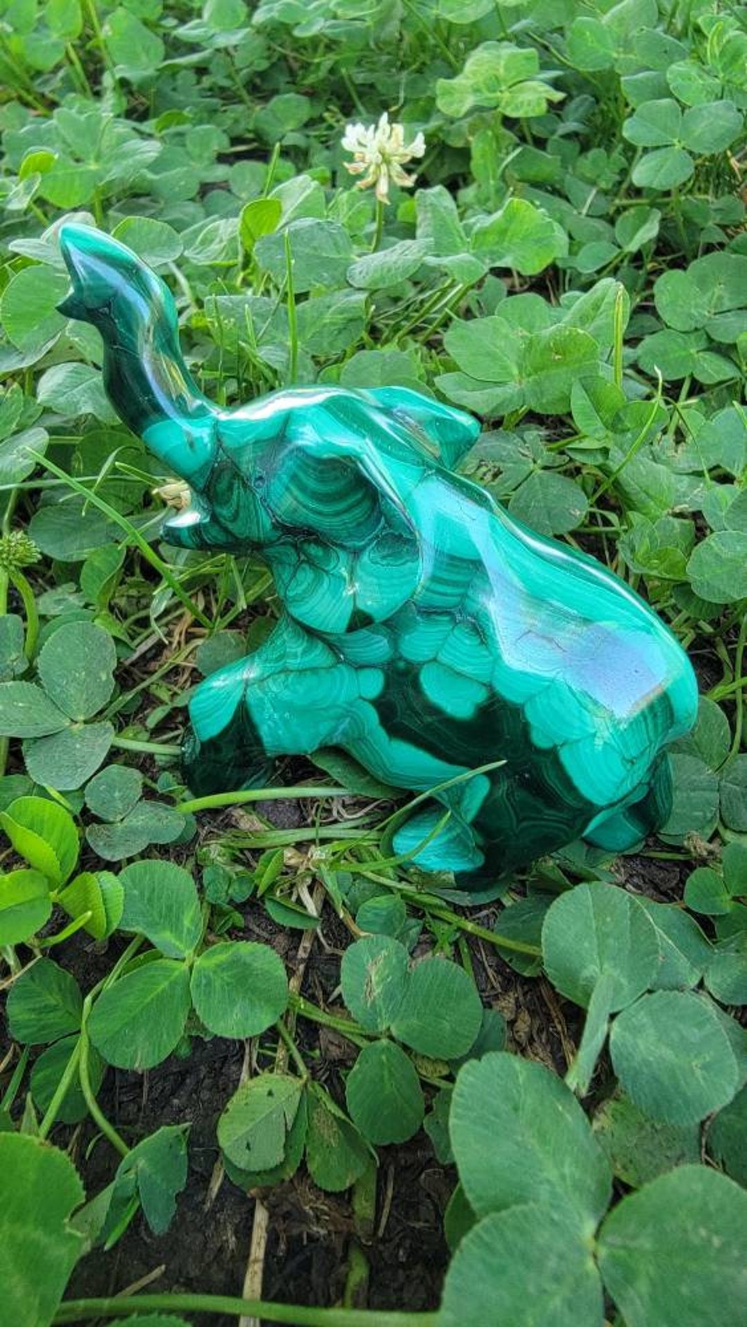 Malachite Elephant, Carved Crystal Statue, Mineral Specimen - Etsy