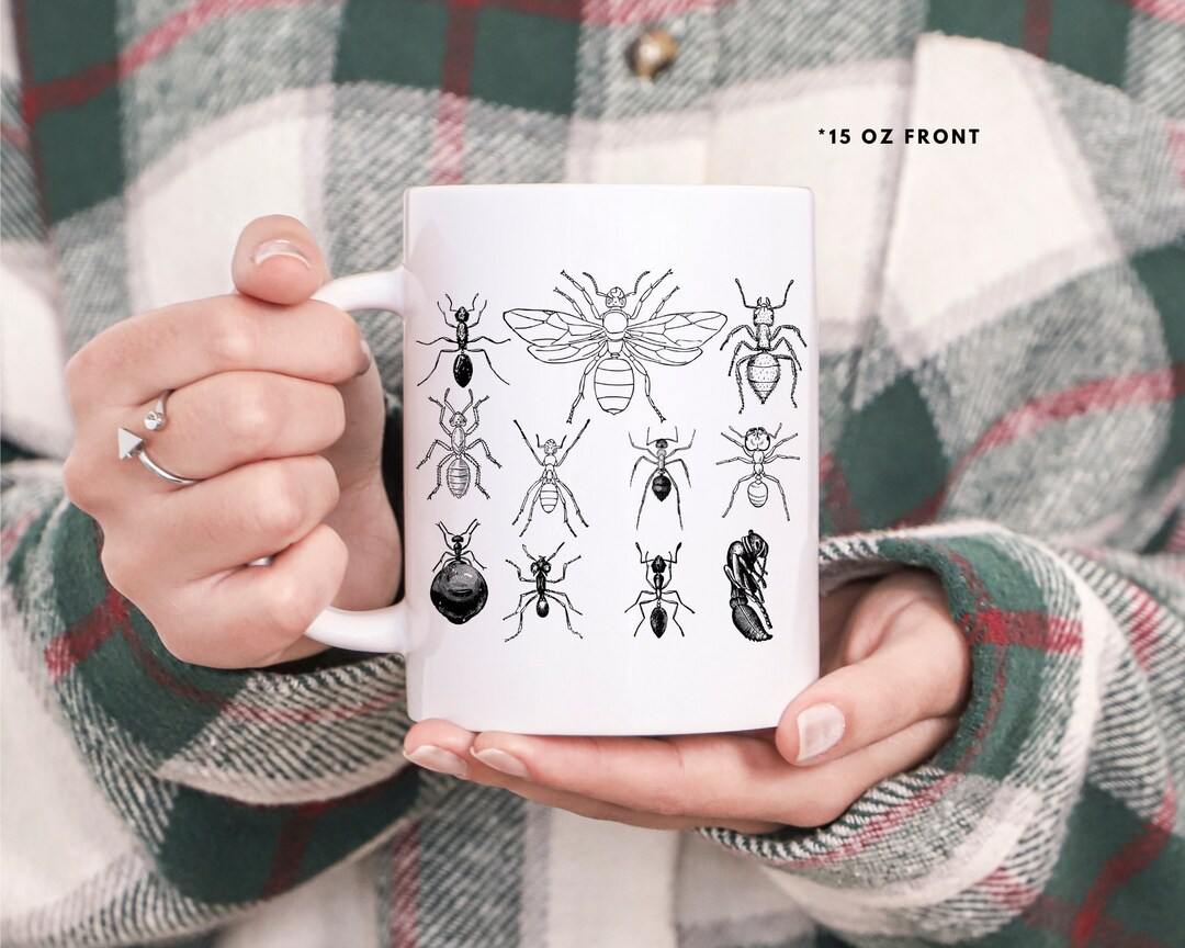 Ants, the Original Social Network, Vintage Back, Science Fiction ...