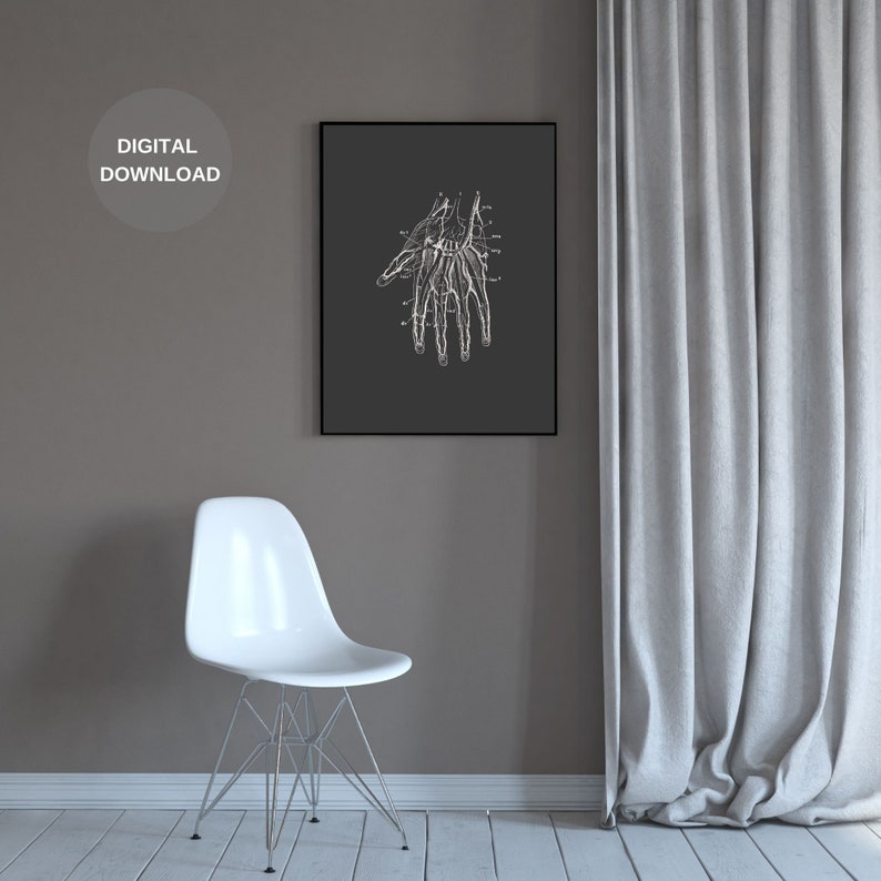Human Anatomy Print, Hand Print, Printable Wall Art, Vintage Anatomy ...