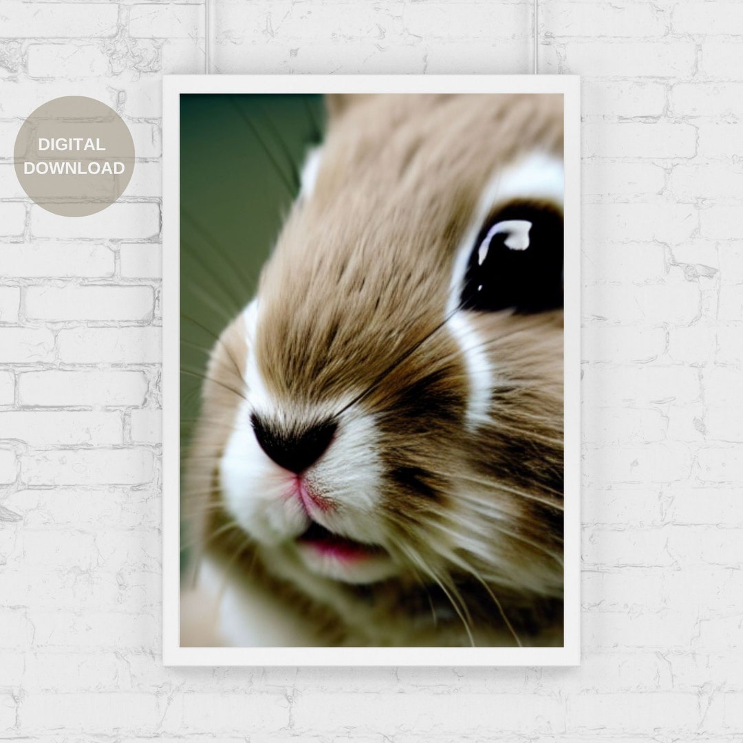 Bunny Rabbit Print, Nursery Wall Art, Printable Wall Art, Digital ...