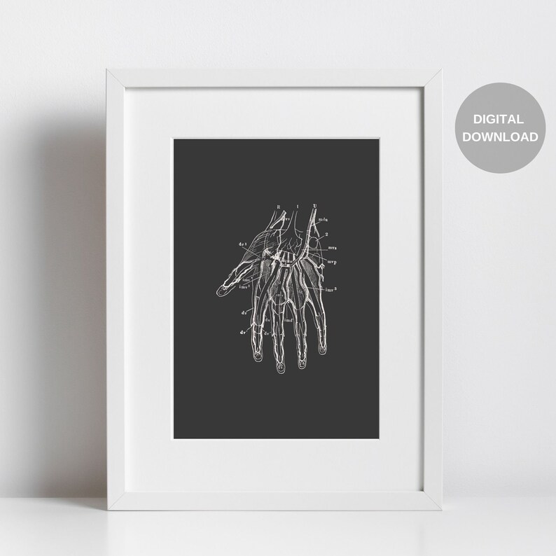 Human Anatomy Print, Hand Print, Printable Wall Art, Vintage Anatomy ...